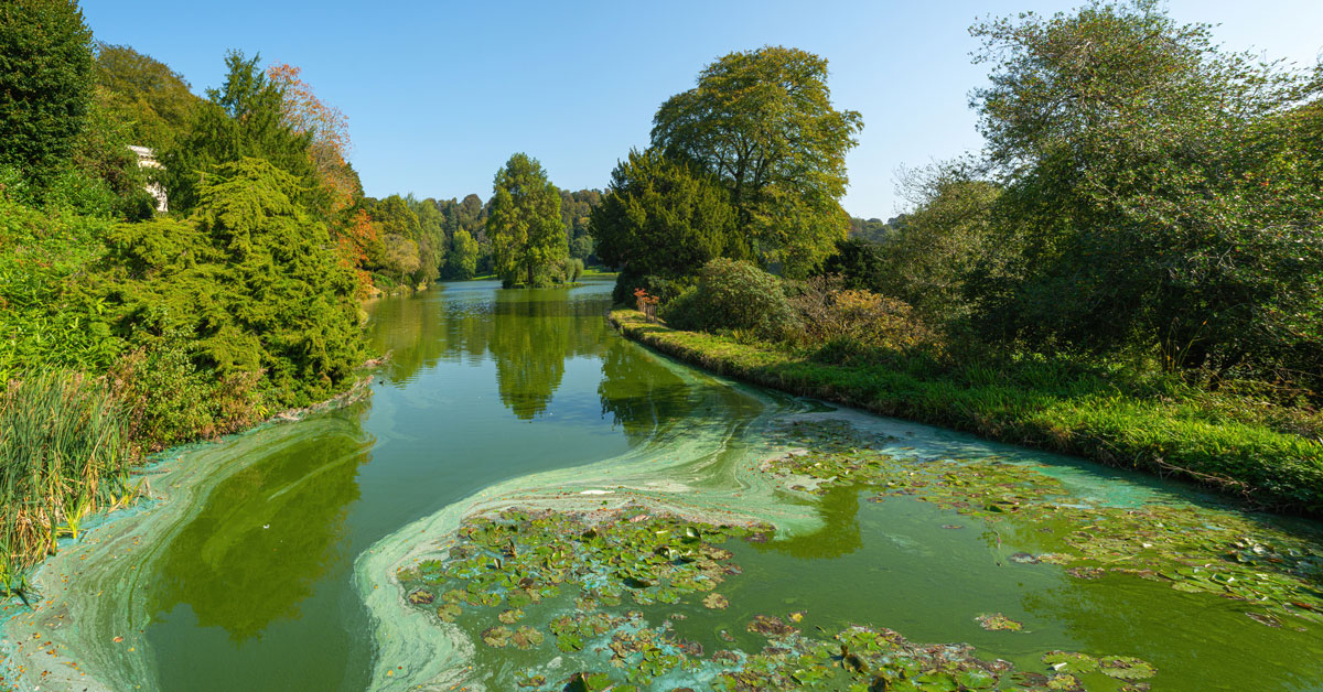 Contact Confirmation | Clean-Flo